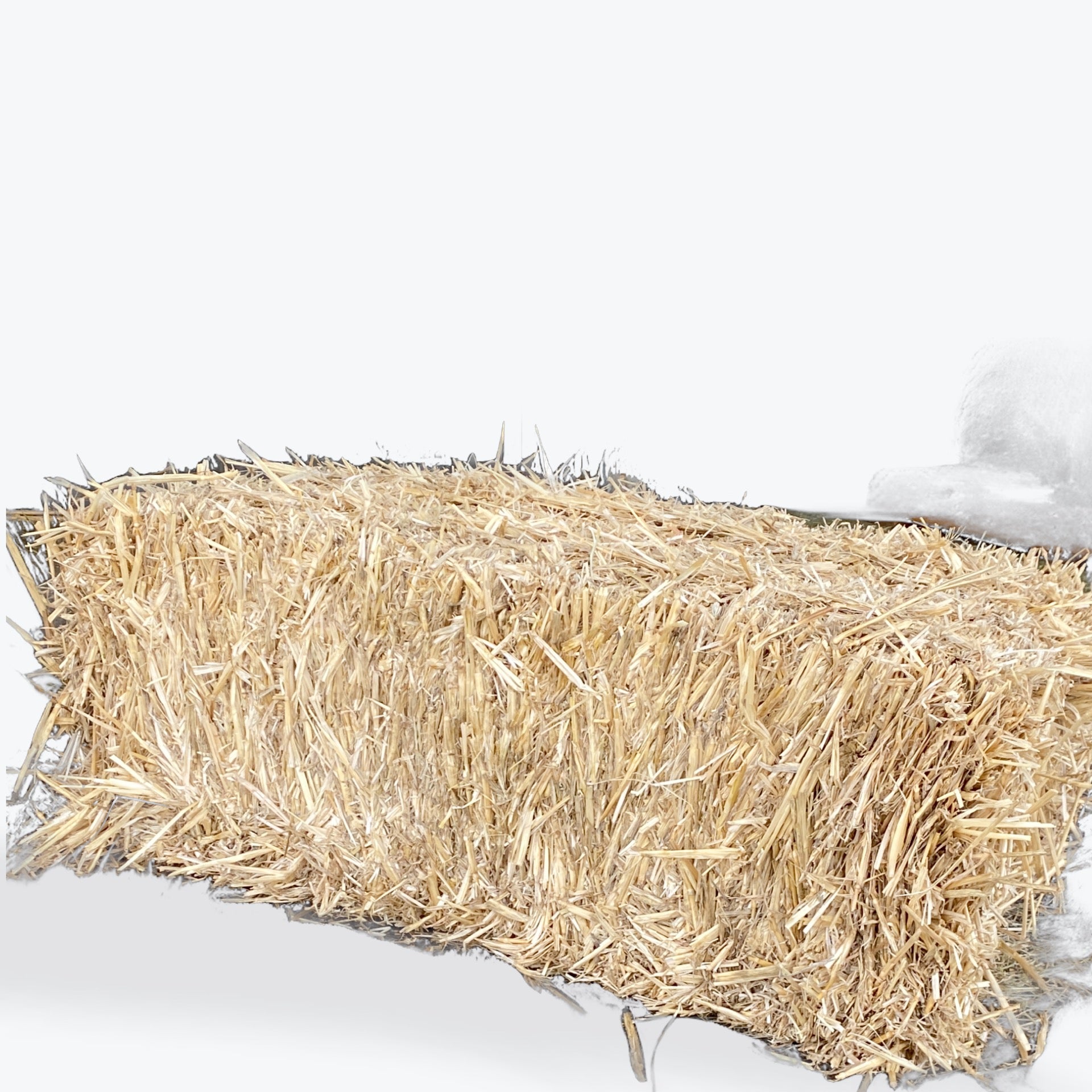 Straw Hay | Canberra Stockfeeds & Pets